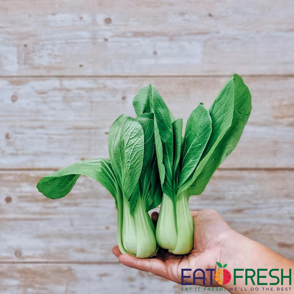 Everyday Vegetables