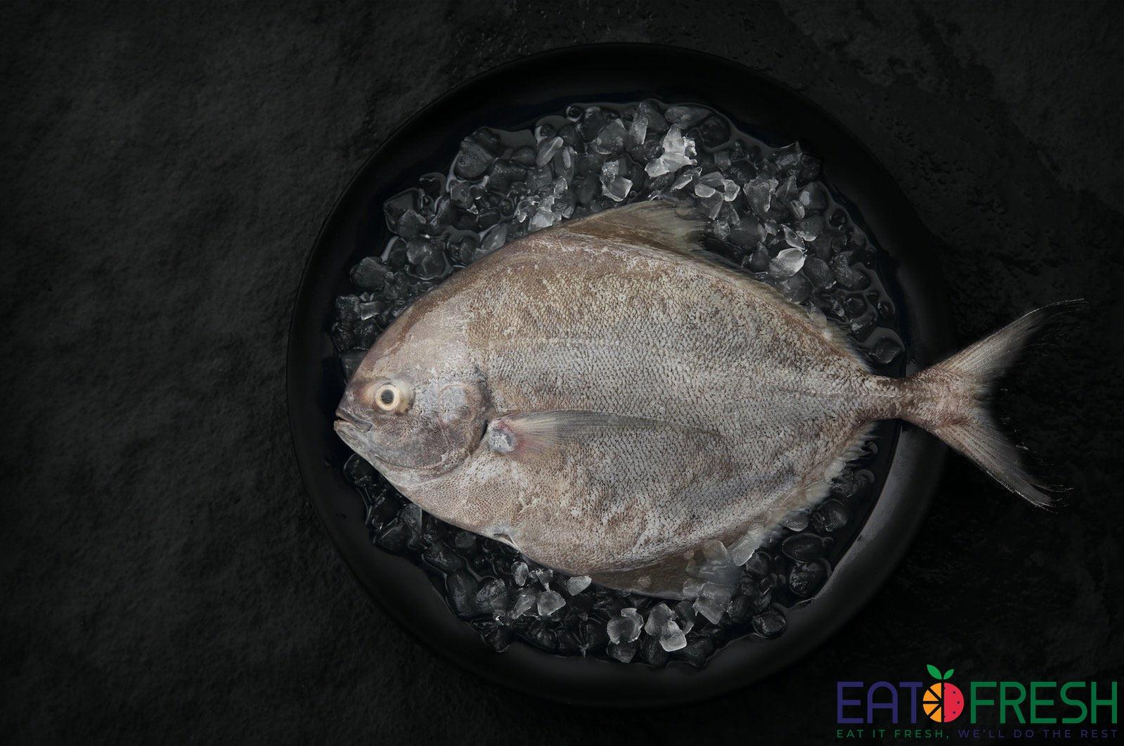 Fresh Pomfret Whole (Black) 新鲜整黑鲳魚 - 400g~500g