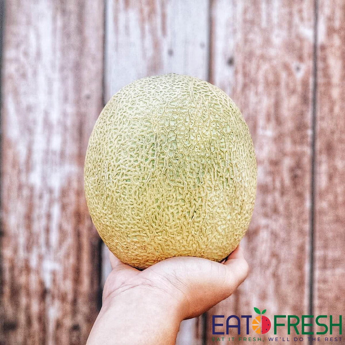 Rockmelon 哈密瓜 - 1 Pc