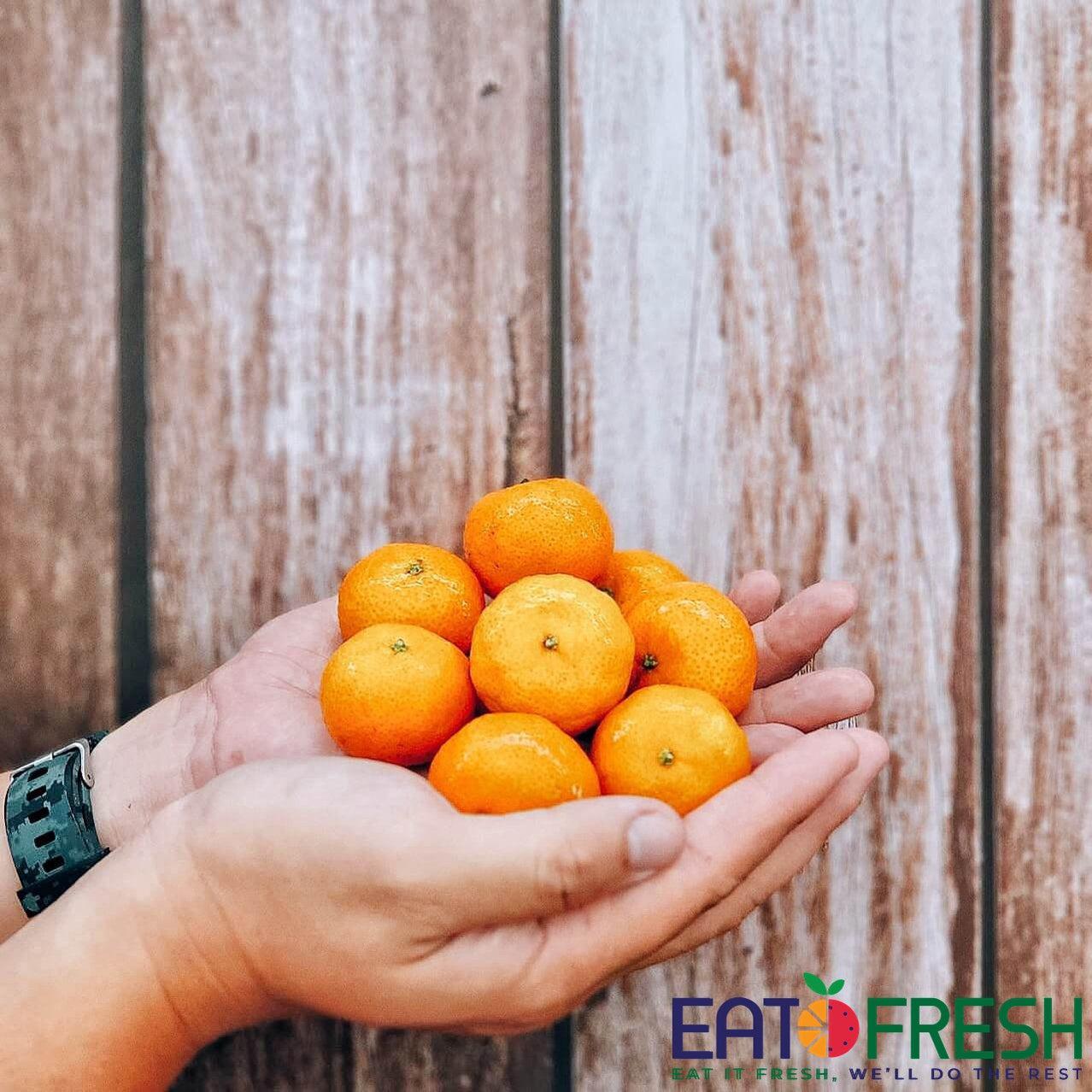 Tangerines Seedless (Orri) 橘子 - 1kg