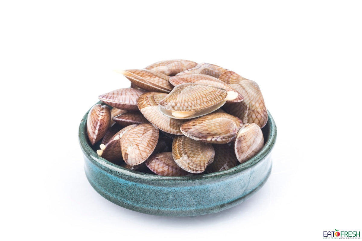 Fresh Batik Clam (Green) 青啦啦