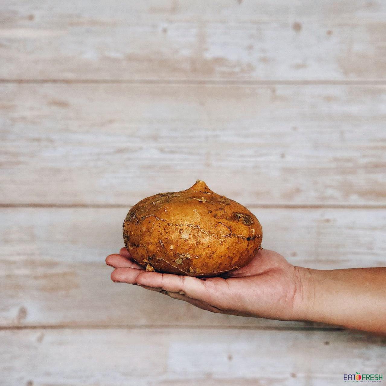 Turnip (Sweet) 芒光 - 1 pc